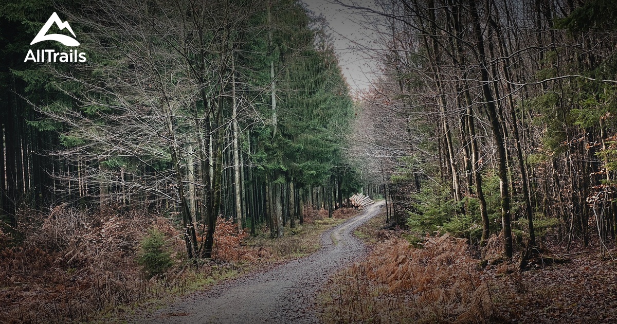 10 Best forest trails in Grünewald | AllTrails