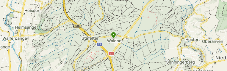 Best Hikes and Trails in Grünewald | AllTrails