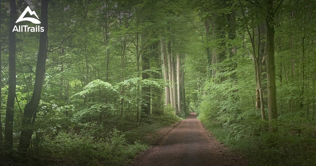 10 Best trail running trails in Meerdael Forest | AllTrails