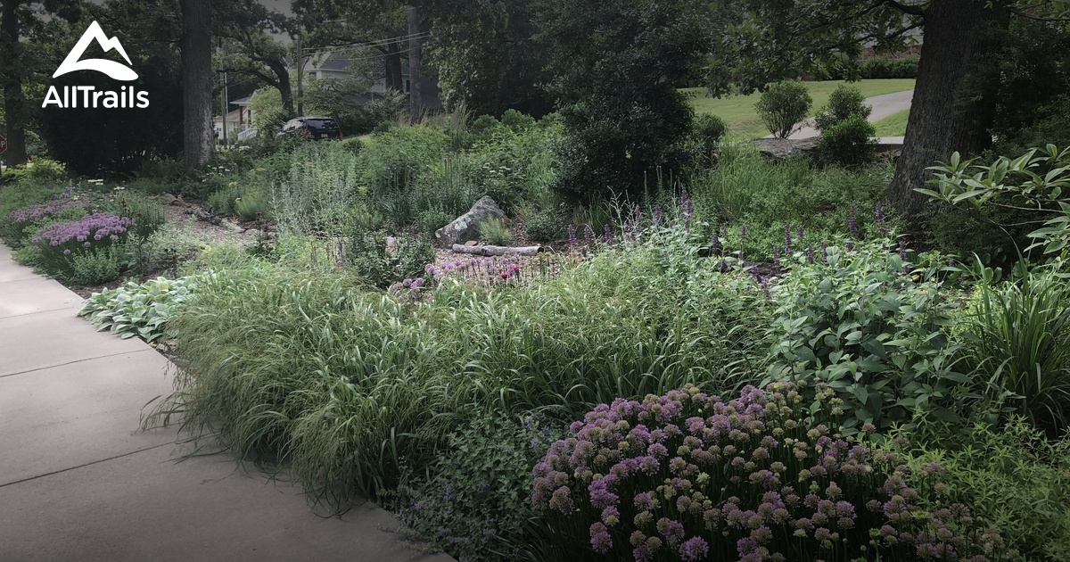 Best hikes and trails in Wilson Park | AllTrails