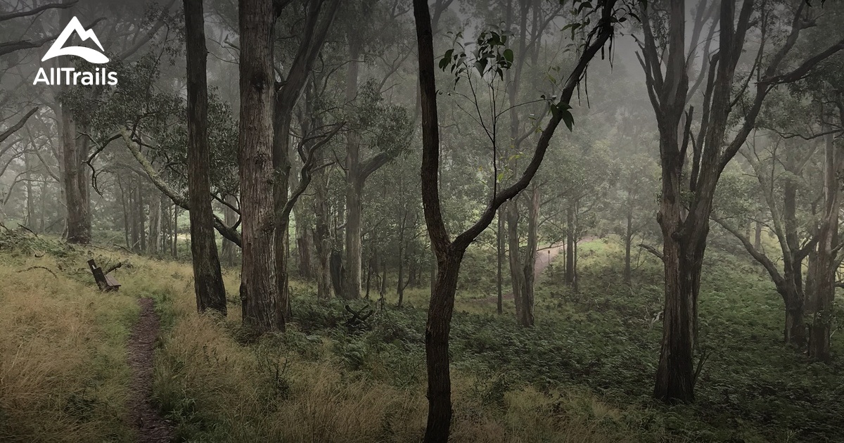 Best walking trails in Mount Buninyong Scenic Reserve | AllTrails