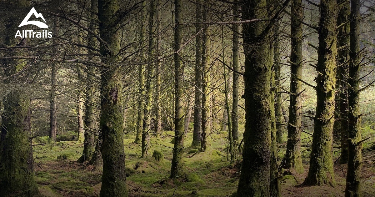 Best forest trails in Lowther Park | AllTrails