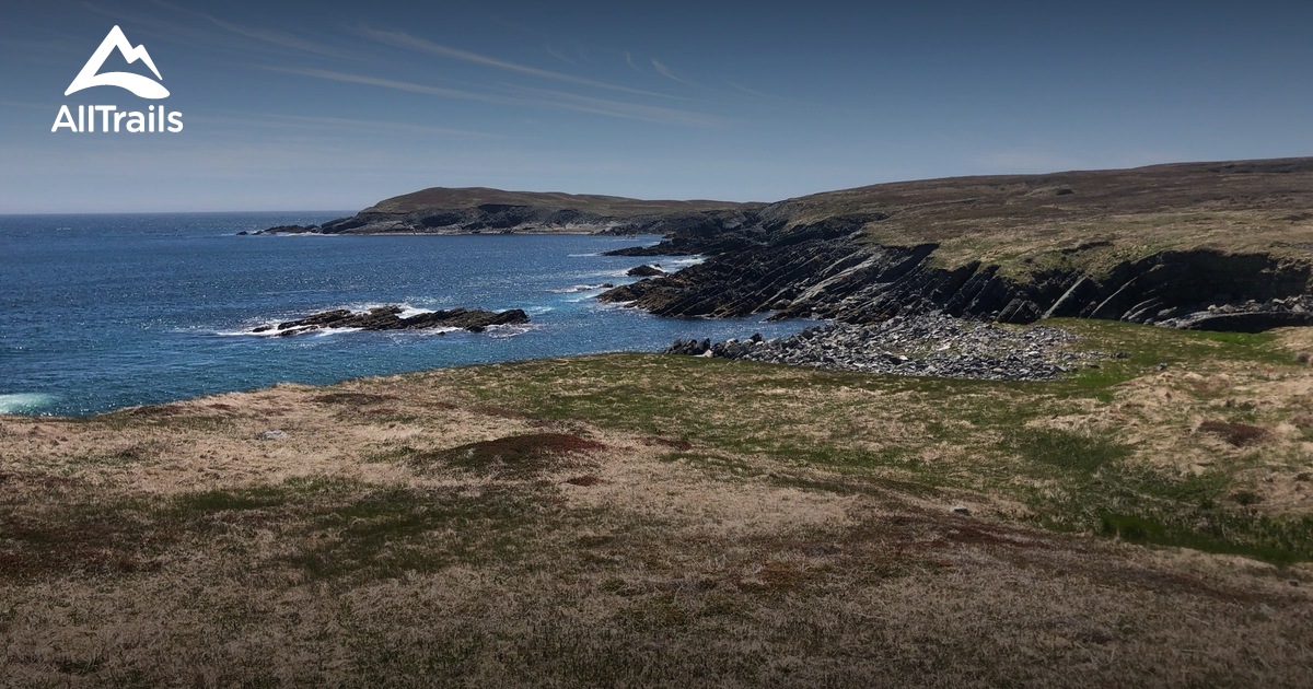 Best trails in Mistaken Point Ecological Reserve, Newfoundland and ...
