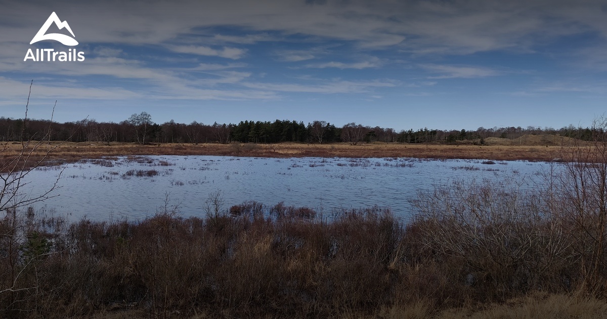 10 Best kid-friendly trails in Læsø Klitplantage | AllTrails