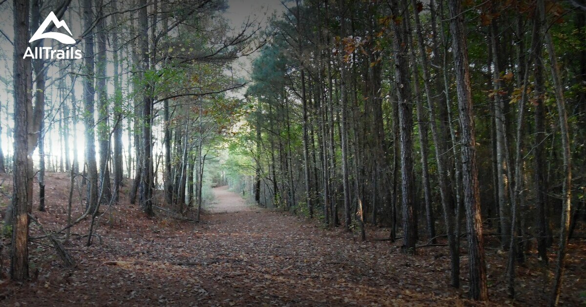 De beste stiene for fuglekikking i Chippokes Plantation State Park ...