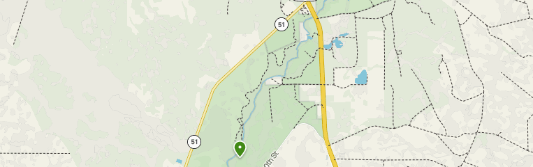 Best Hikes and Trails in Lower Steinhatchee Conservation Area | AllTrails