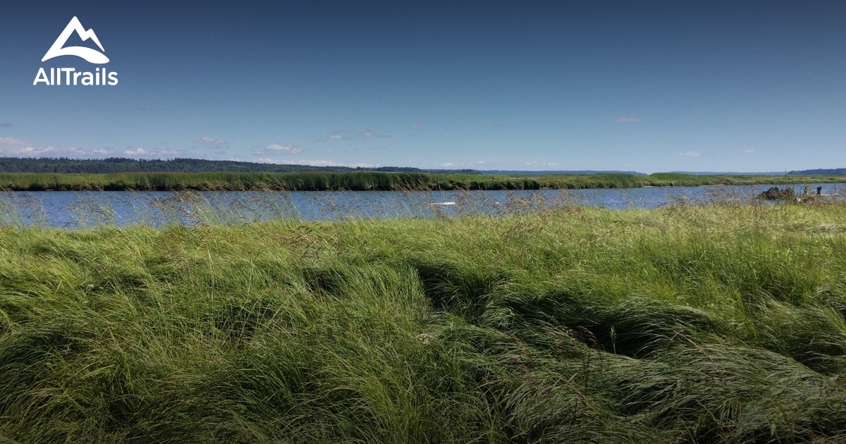 Best bird watching trails in Skagit Wildlife Area | AllTrails
