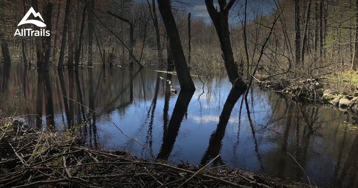Best hikes and trails in Crane Pond Wildlife Management Area | AllTrails