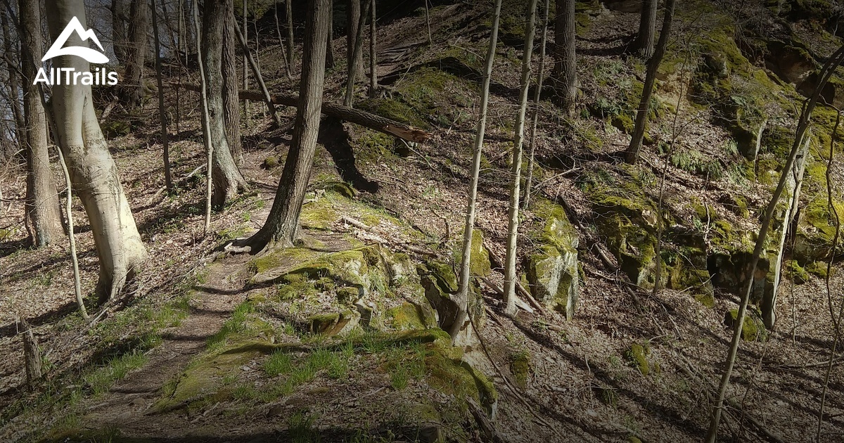 Best hikes and trails in Fern Cliff Nature Preserve | AllTrails