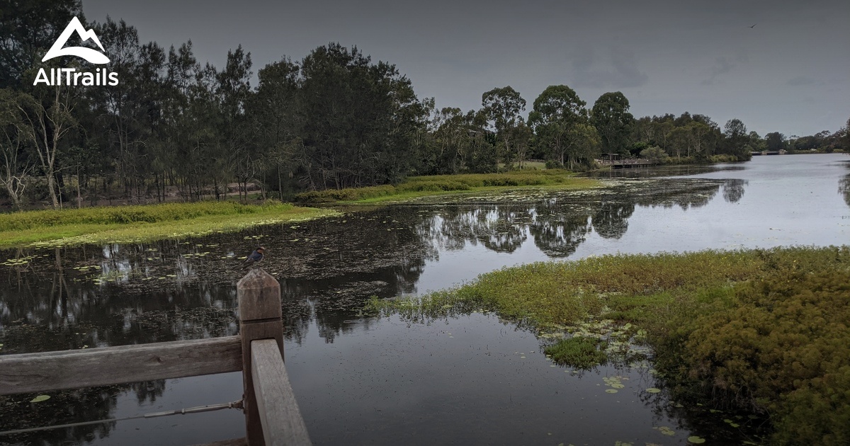 Best hikes and trails in North Lakes Town Park | AllTrails