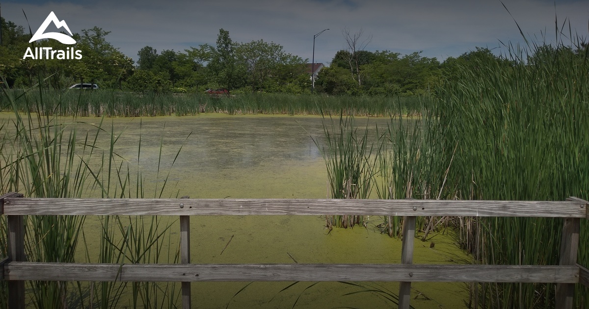 Best Hikes and Trails in Spring Valley Nature Sanctuary | AllTrails