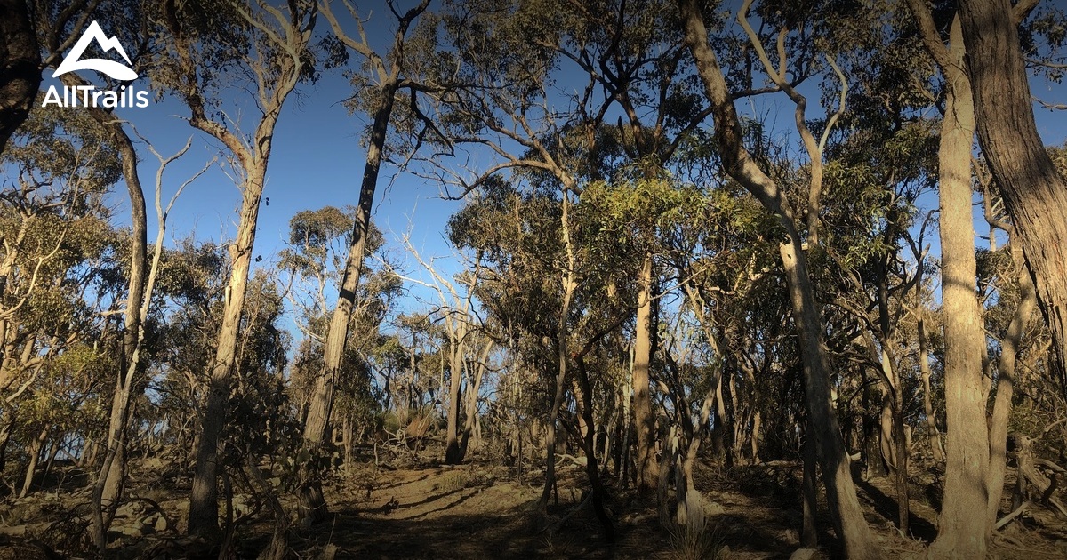 Best beach trails in Steiglitz Historic Park | AllTrails