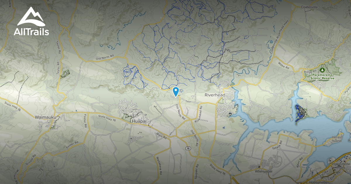 Best Trails in Riverhead Forest - Auckland, New Zealand | AllTrails