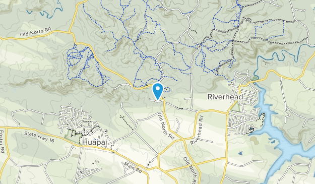 Best Trails in Riverhead Forest - Auckland, New Zealand | AllTrails