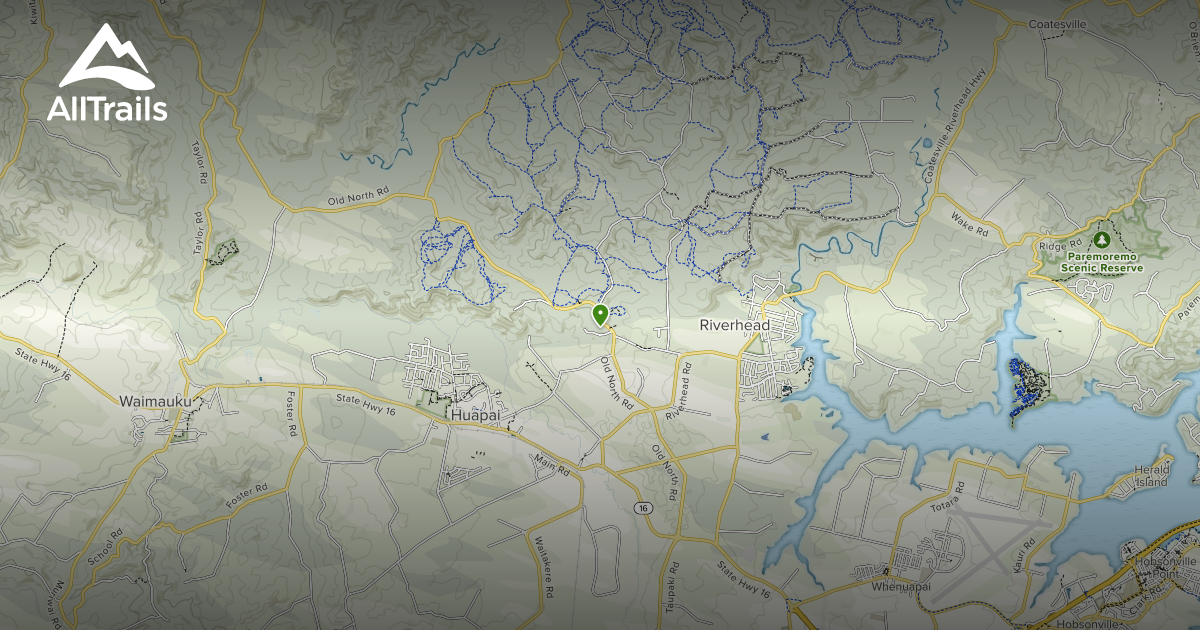 Best Trails in Riverhead Forest - Auckland, New Zealand | AllTrails