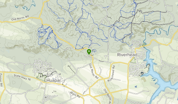 Best Trails in Riverhead Forest - Auckland, New Zealand | AllTrails
