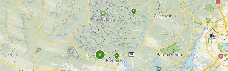 Best Trails in Riverhead Forest | AllTrails