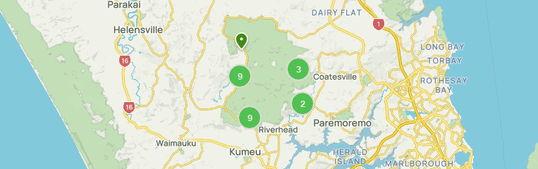 Best 10 Hikes and Trails in Riverhead Forest | AllTrails