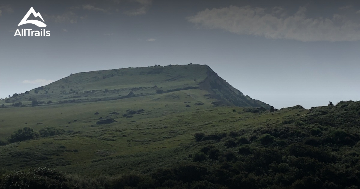 Best hikes and trails in Axmouth to Lyme Regis Undercliffs National ...