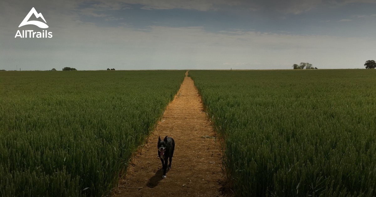 Best hikes and trails in Yarwell Mill Country Park | AllTrails