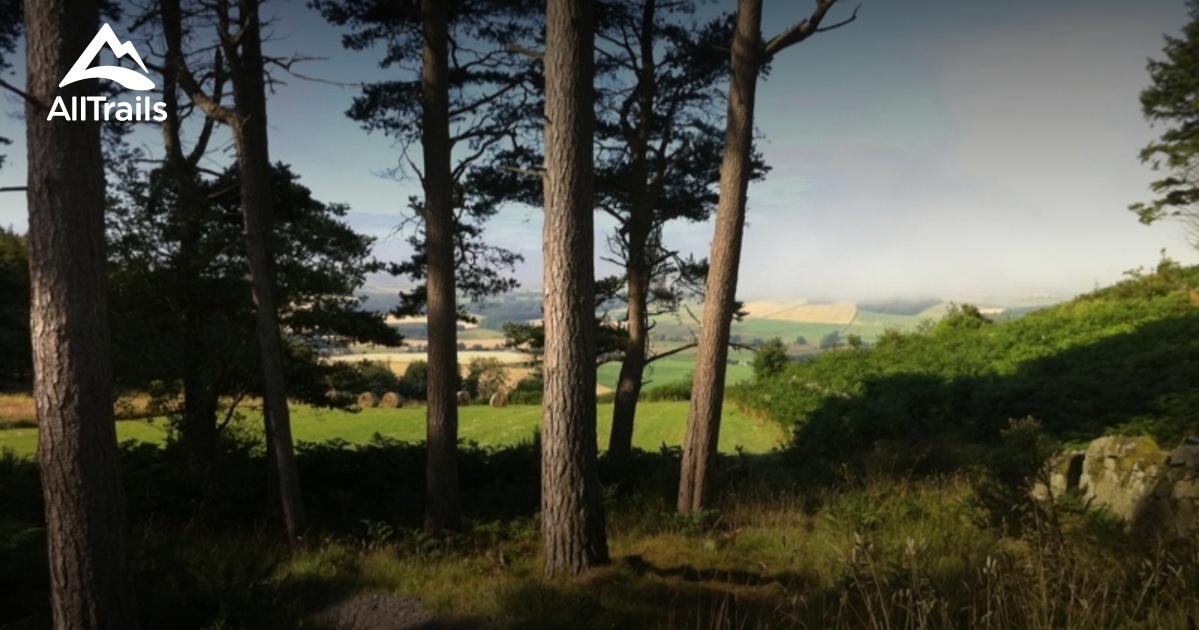 Best hikes and trails in Kirkhill Forest | AllTrails