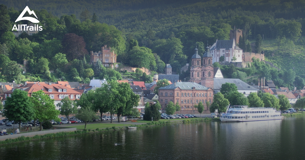10 Best hikes and trails in Spessart Nature Park | AllTrails