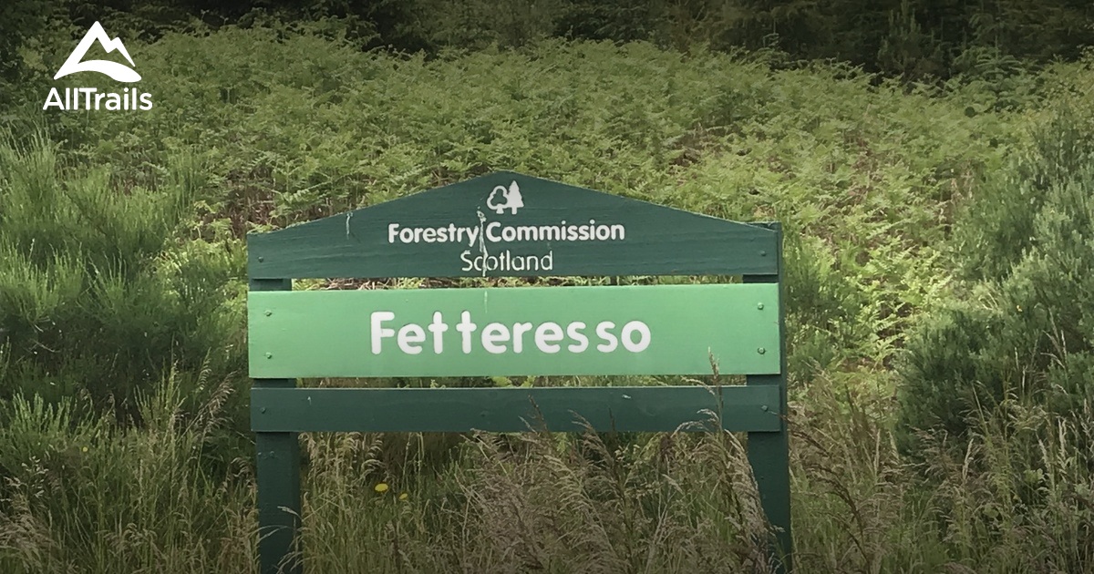 Best river trails in Fetteresso Forest | AllTrails