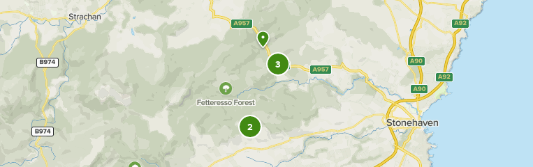 De beste routes in Fetteresso Forest | AllTrails