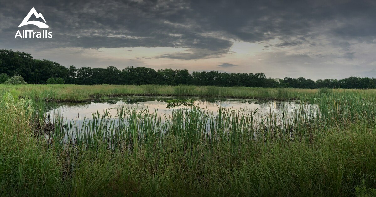 Best hikes and trails in Logan Hill Nature Preserve | AllTrails