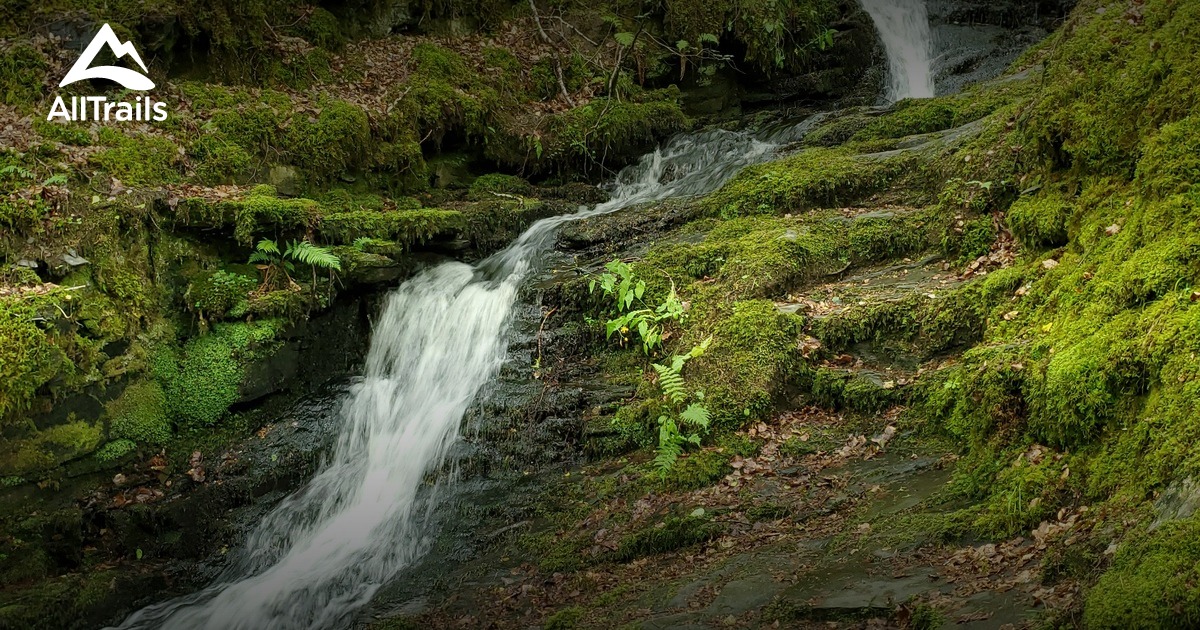 I migliori sentieri moderati in The Birks of Aberfeldy | AllTrails