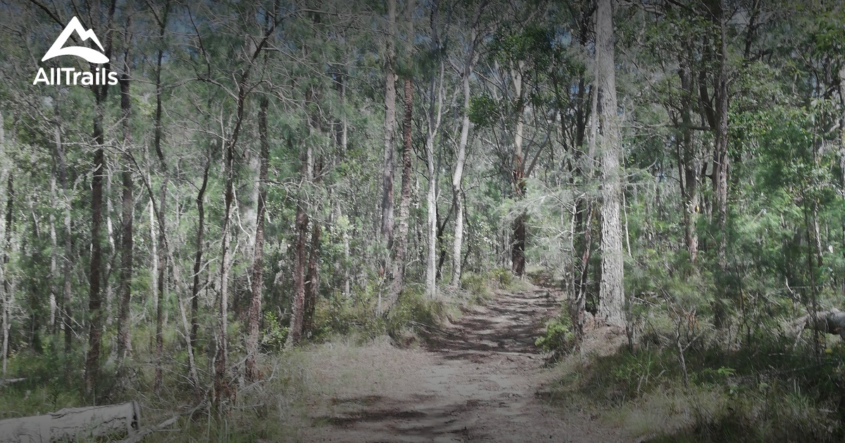 Best Trails in Eumundi Conservation Park - Queensland, Australia ...