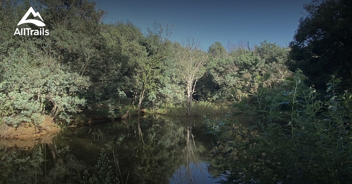 Best hikes and trails in Hobby Park | AllTrails