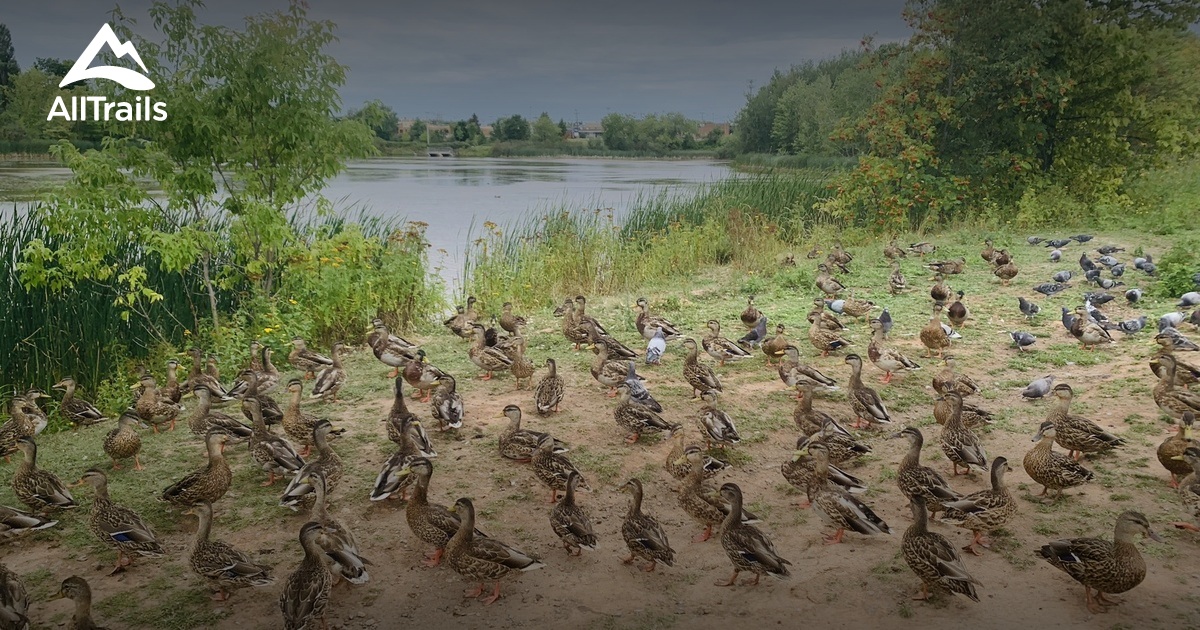 Best hikes and trails in Jones Lake Park | AllTrails