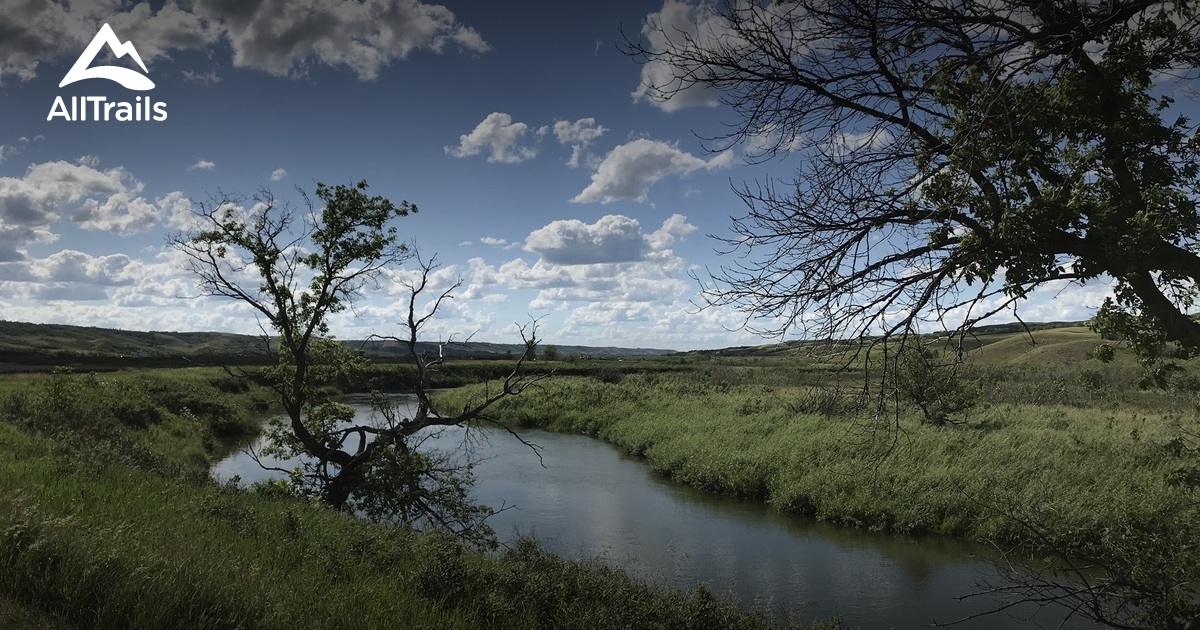 Best lake trails in Buffalo Pound Provincial Park | AllTrails