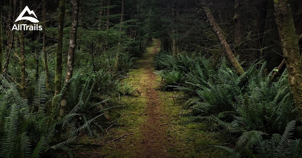 Best hikes and trails in Maud Island Recreation Site | AllTrails