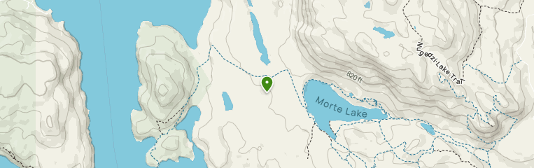 Best Hikes and Trails in Maud Island Recreation Site | AllTrails