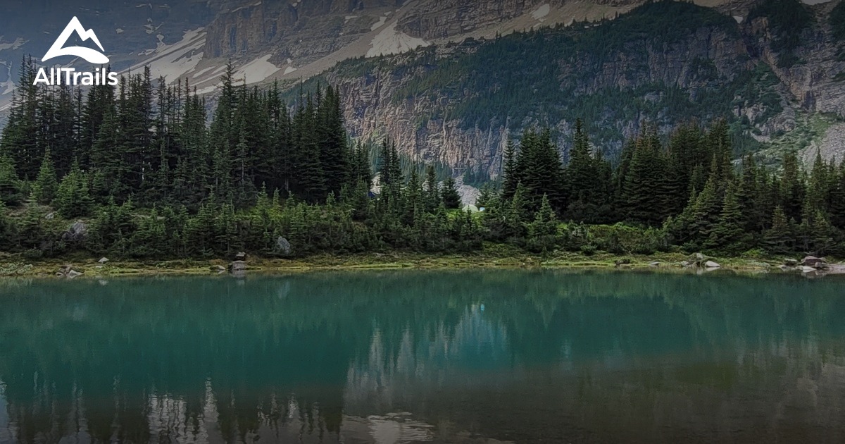 Best hikes and trails in Lake of the Falls Natural Area | AllTrails