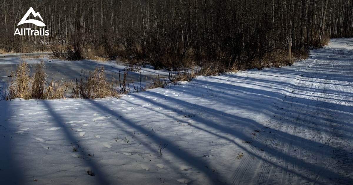 Best hikes and trails in Strathcona Wilderness Center | AllTrails