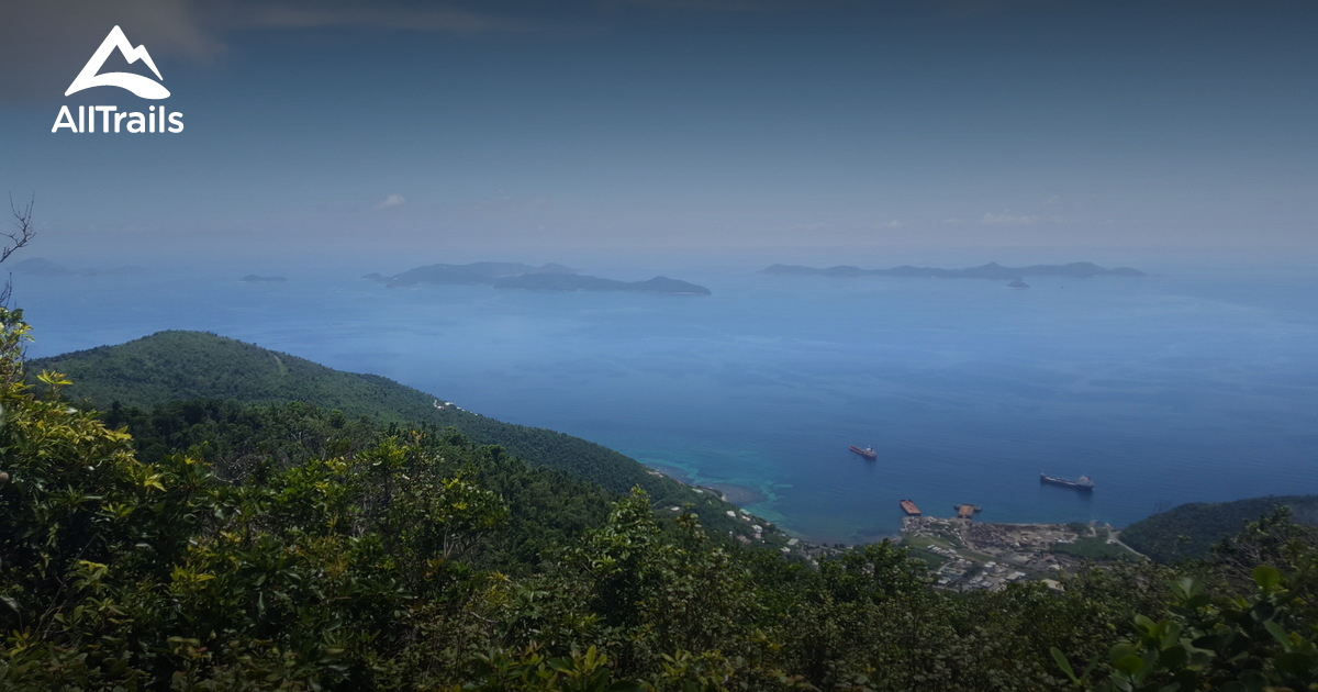 Best Trails in Mount Sage National Park - Tortola, British Virgin ...