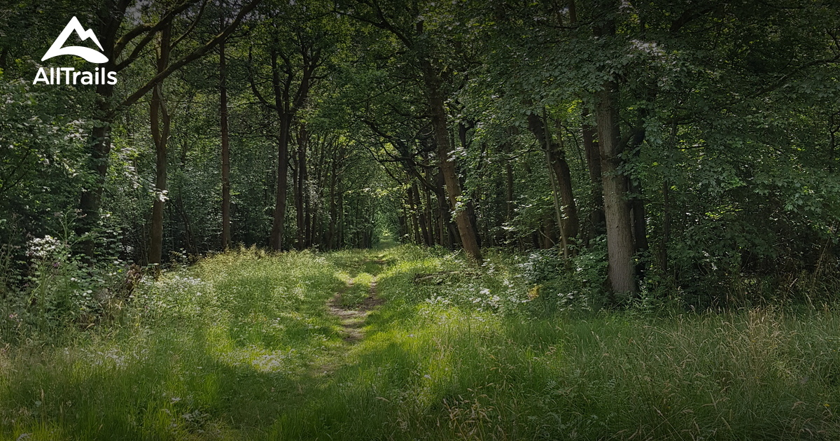 Best walking trails in Lower Woods Nature Reserve | AllTrails