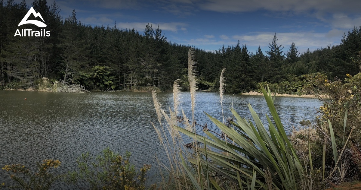 Best hikes and trails in Te Miro Mountain Bike Park | AllTrails