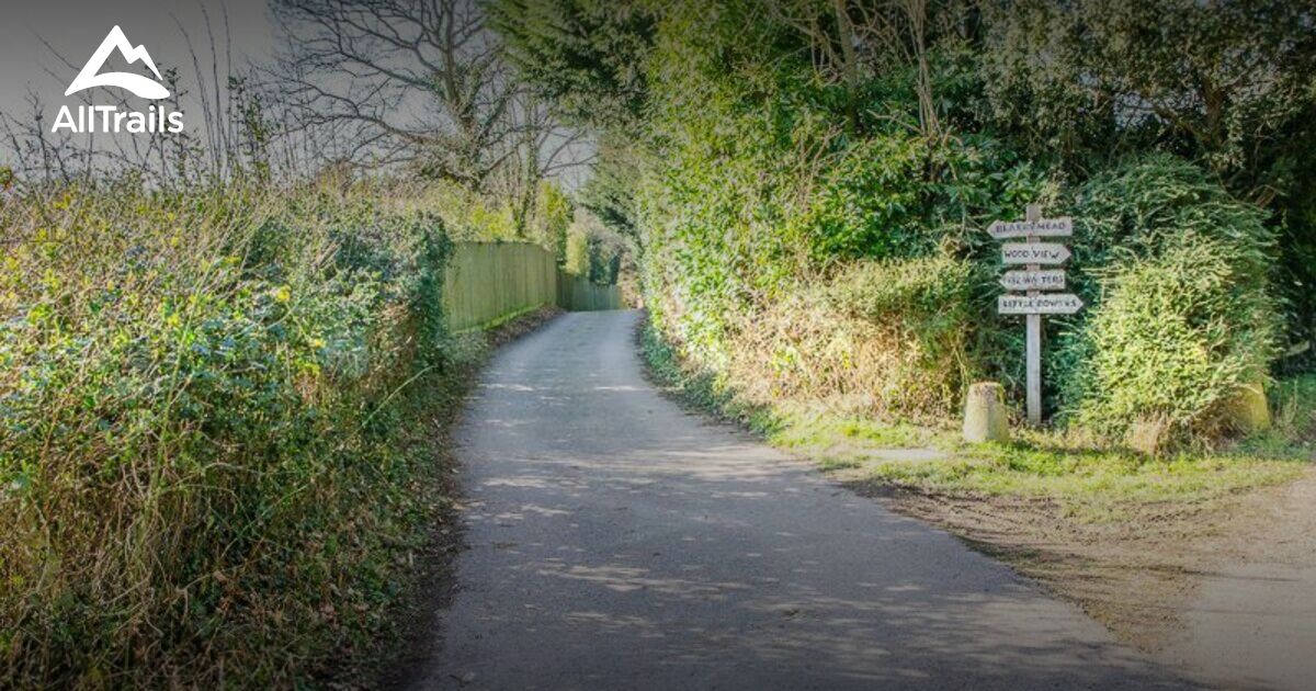Best hikes and trails in Danbury Country Park | AllTrails