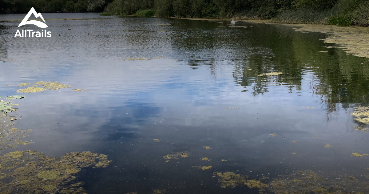Best hikes and trails in Milton Country Park | AllTrails