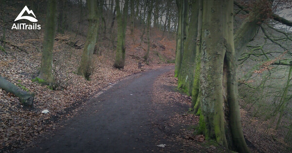 Best bird watching trails in Daisy Nook Country Park | AllTrails