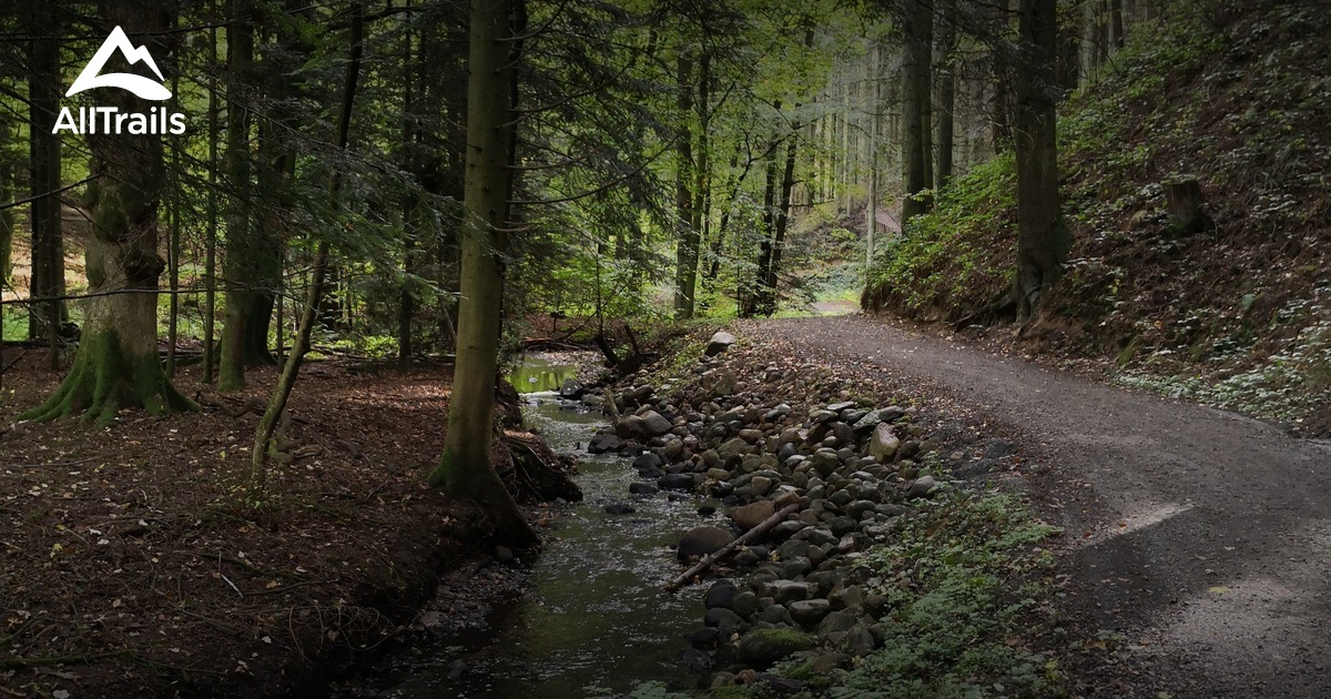 10 Best hikes and trails in Sønderskoven | AllTrails