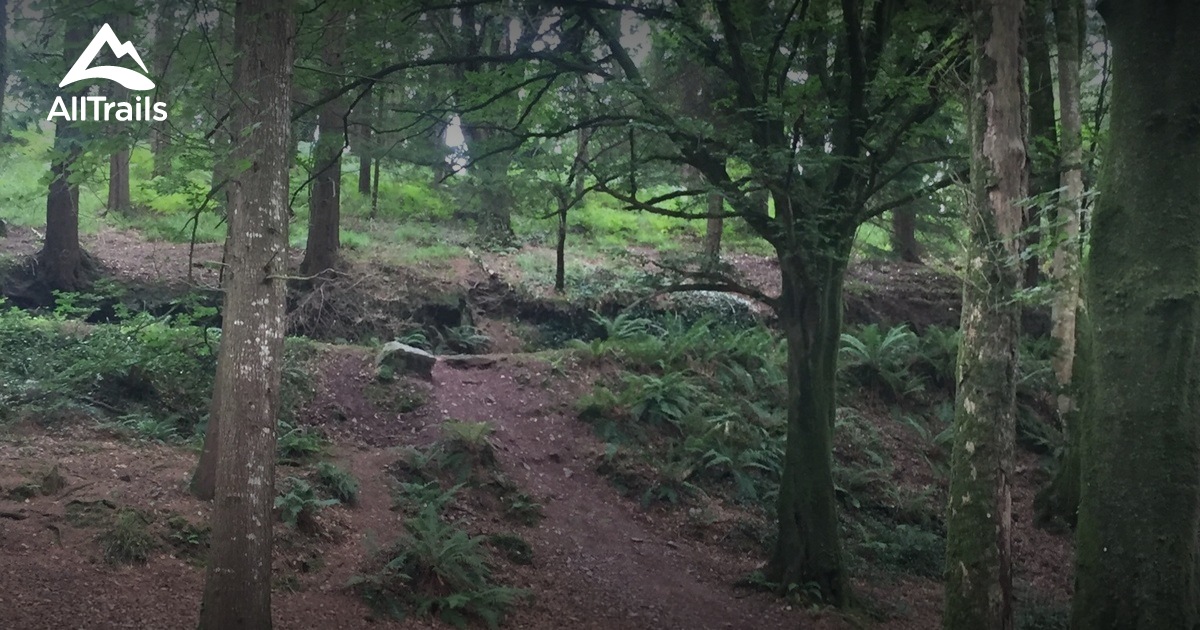 Best hikes and trails in Glenbower Wood | AllTrails