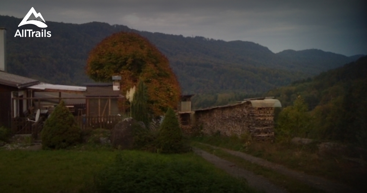 10 Best hikes and trails in Wilderness Park Zurich Sihlwald | AllTrails