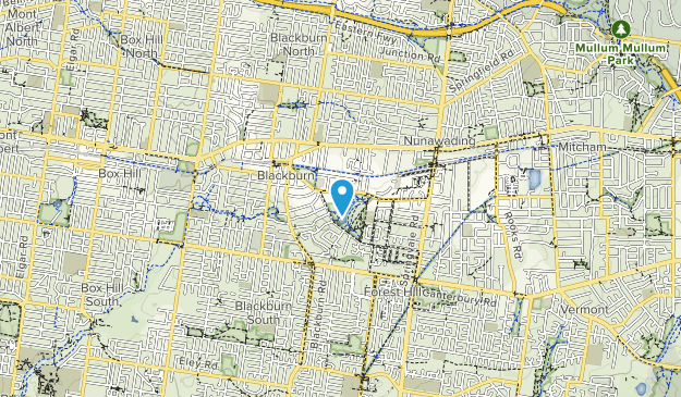 Best Trails in Blackburn Lake Sanctuary - Victoria, Australia | AllTrails