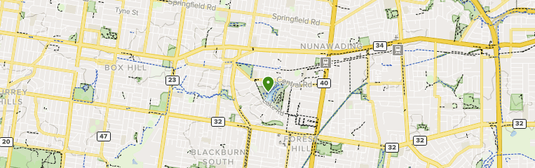 Best Trails in Blackburn Lake Sanctuary - Victoria, Australia | AllTrails