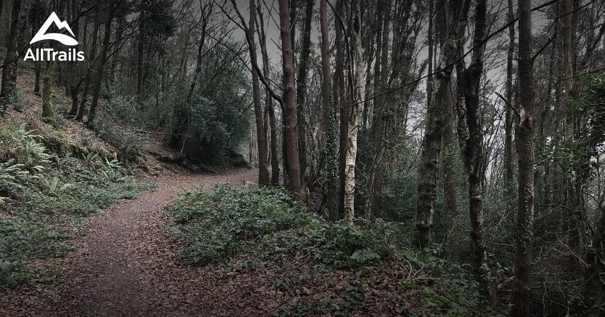 Die Besten moderaten Routen in Kilmagig Forest Recreation Area | AllTrails